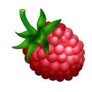 Random Fruits Generator: For a health snack